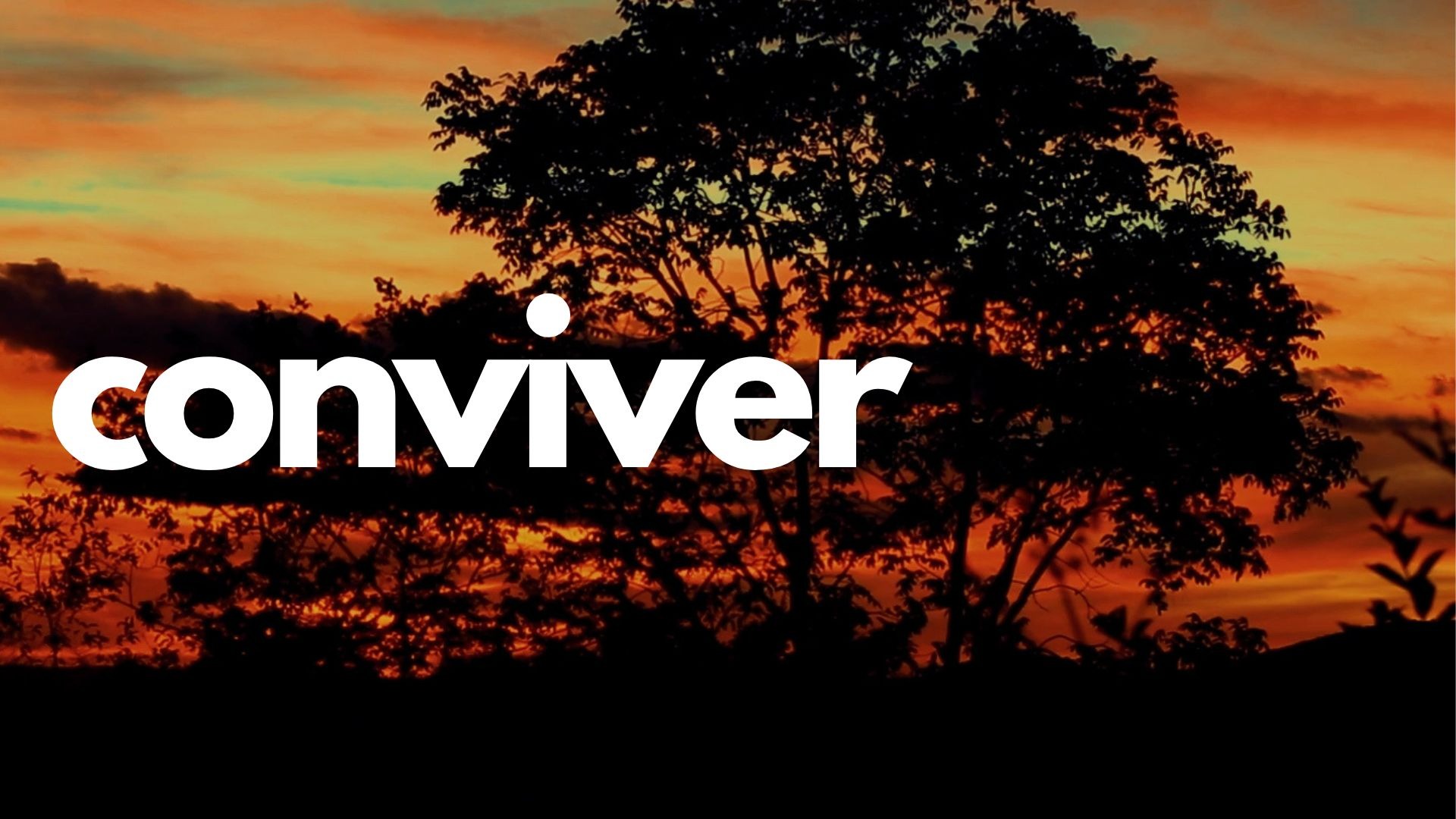 Conviver · Documentários de impacto social